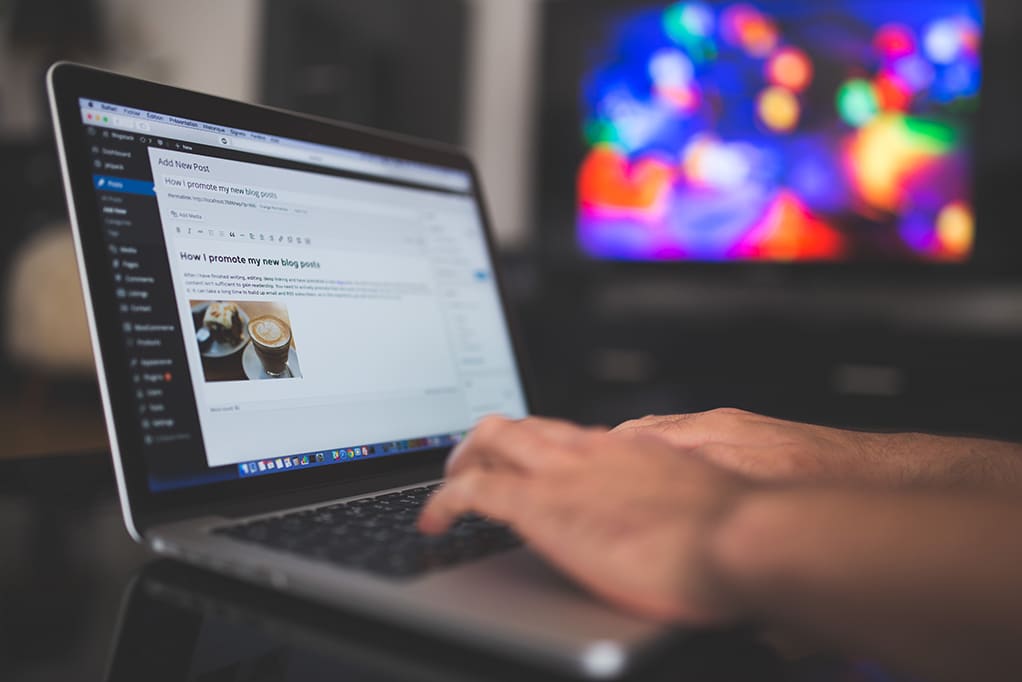 Flywheel How To Remove The WordPress Footer