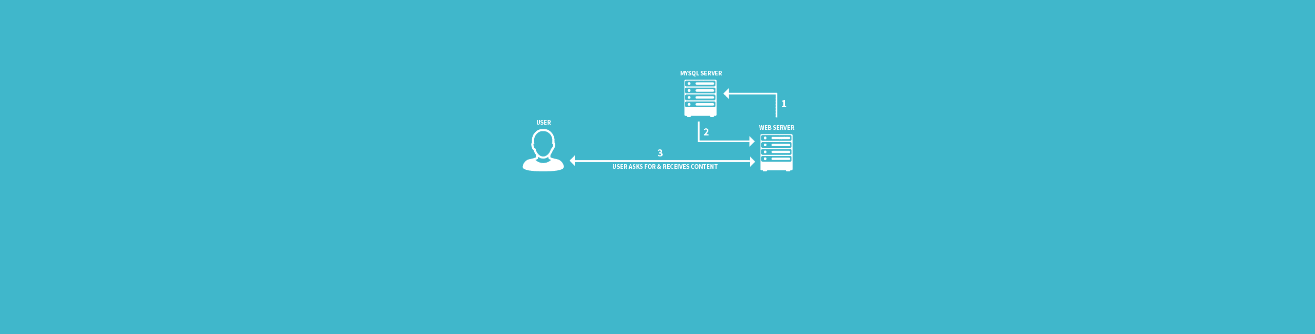 Understanding How Wordpress Uses Mysql Layout