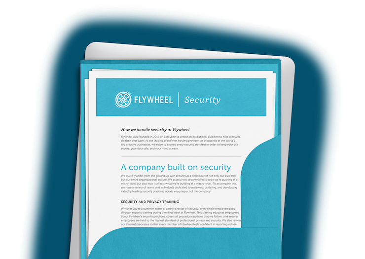 Flywheel | Security